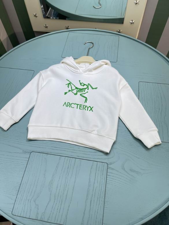 Arcteryx sz100-160 (5)-服饰丨向阳