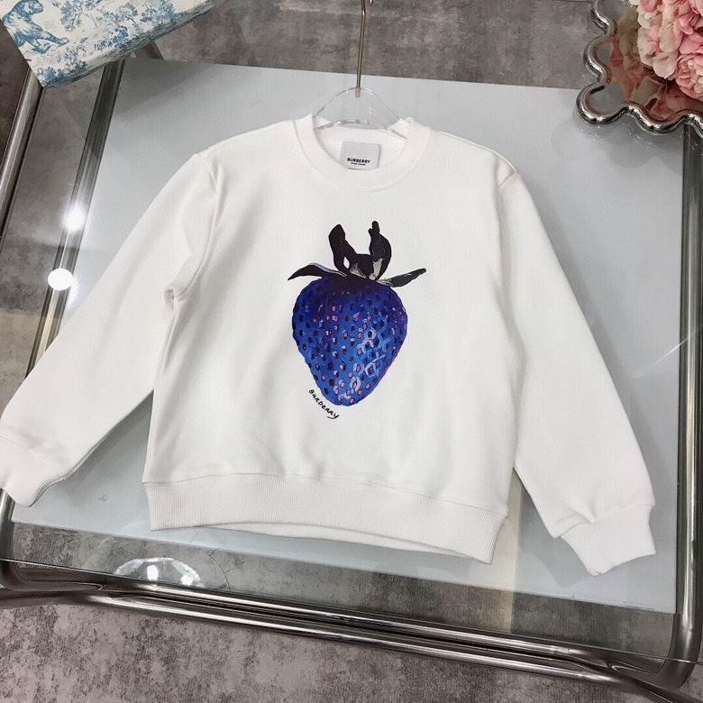 Burberry sz100-150 (16)-Fashion丨QiQi